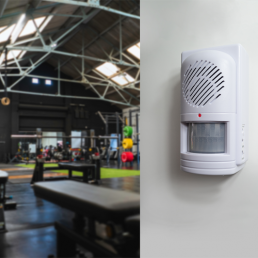 Defender Memo Minder - Dementia Aid