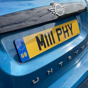 Number Plate Screws & Caps - Defender Security Products