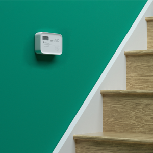 Defender 10yr Carbon Monoxide Alarm - BSI Rated CO Detector